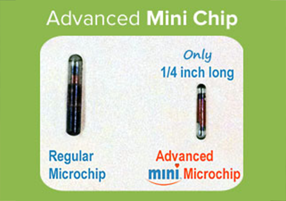Microchips for Pets • Register Now!