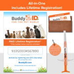 BuddyID Mini Chip - Includes Lifetime Registration