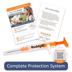 BuddyBadge® QR Collar Tag • BuddyID