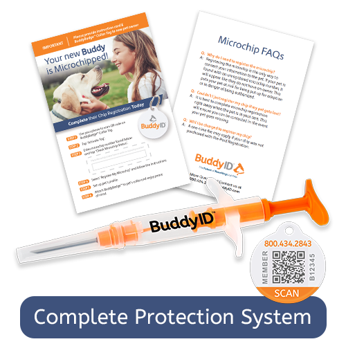 BuddyBadge® QR Collar Tag • BuddyID